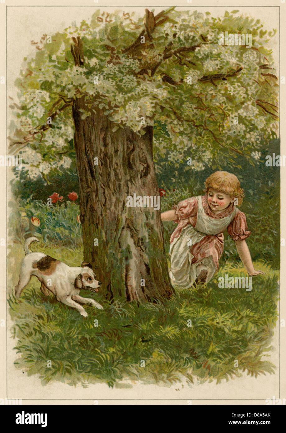 HIDE AND SEEK WITH DOG Stock Photo - Alamy