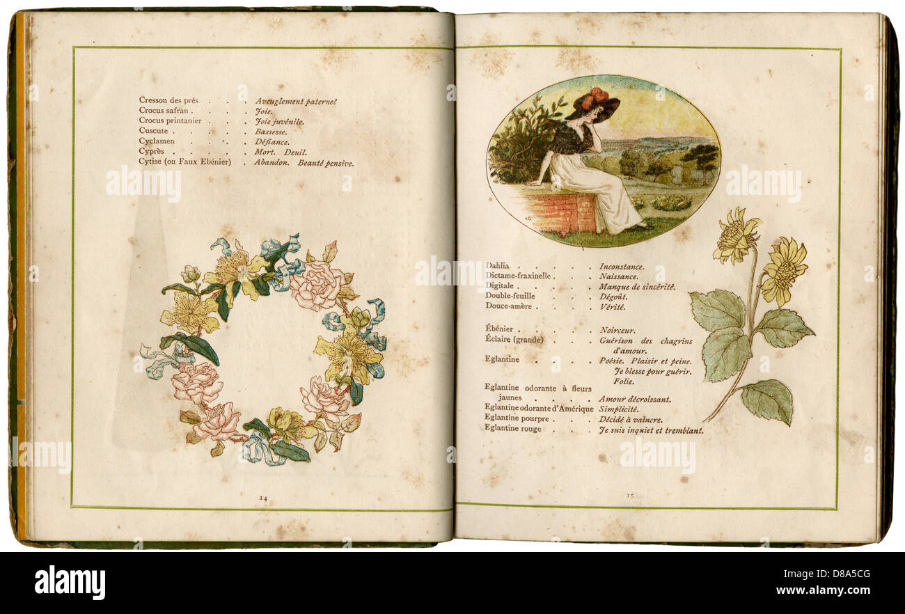 Crowsbill hi-res stock photography and images - Alamy