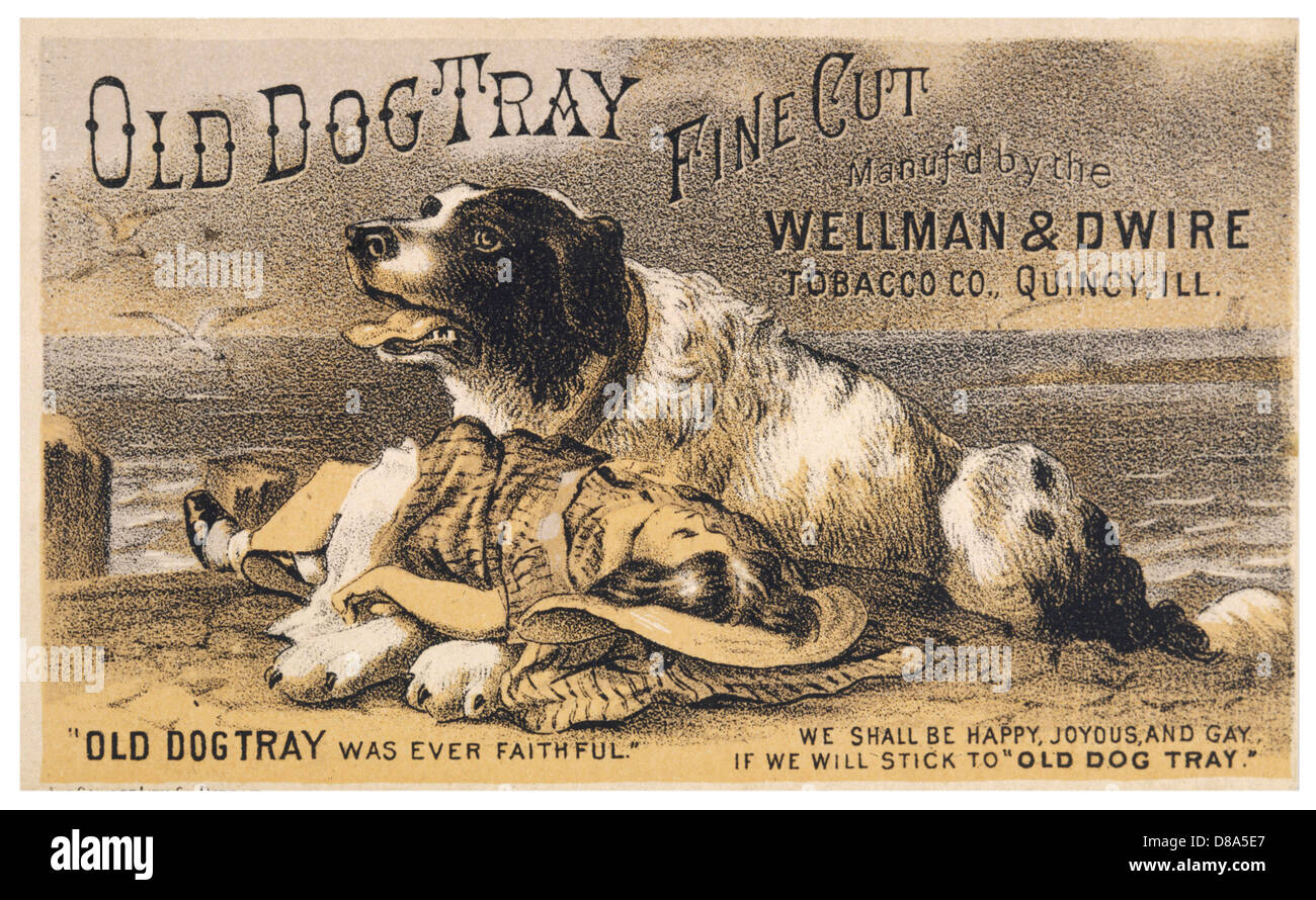 OLD DOG TRAY Stock Photo - Alamy