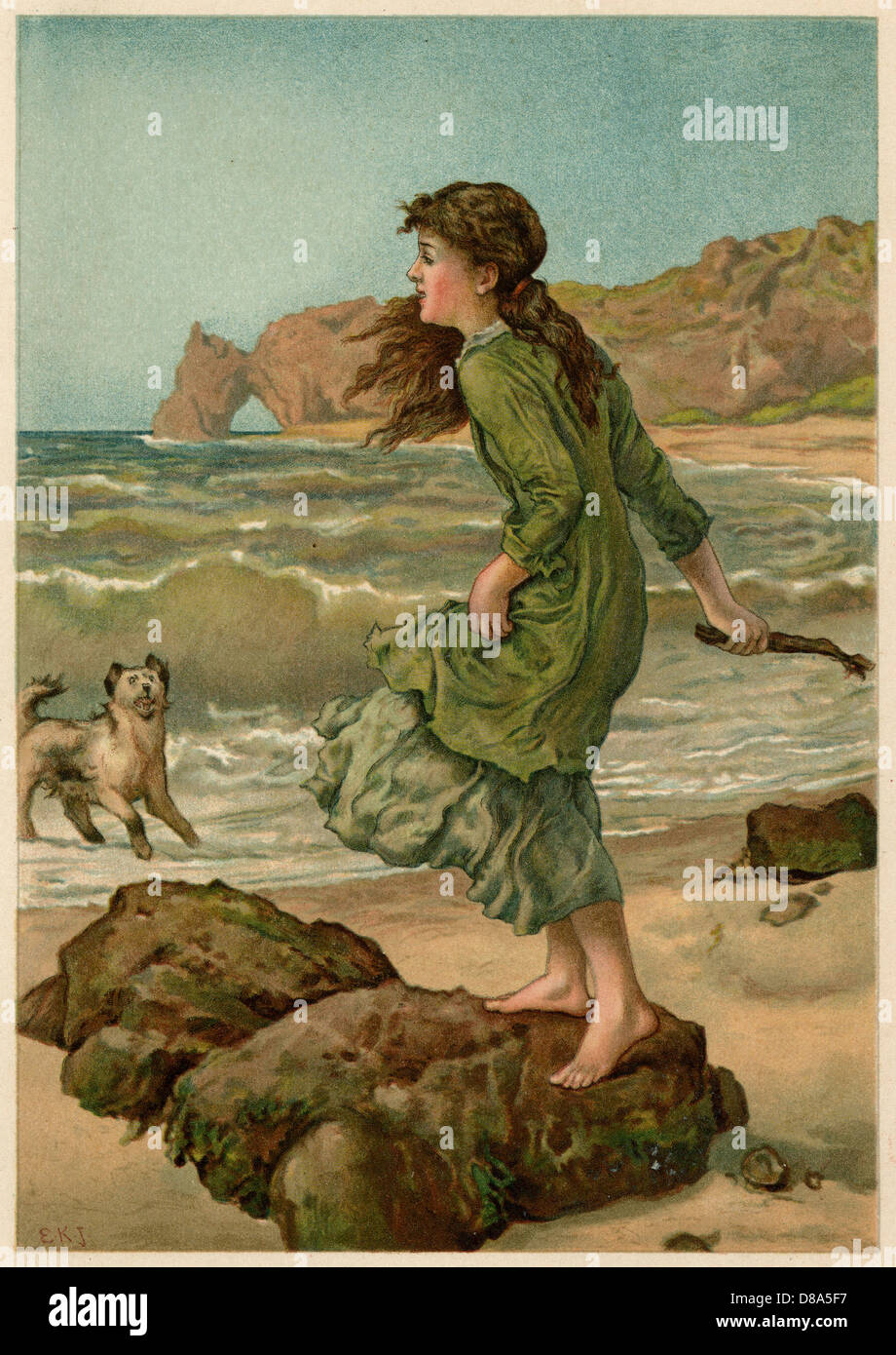 THROWING STICKS FOR DOG Stock Photo - Alamy