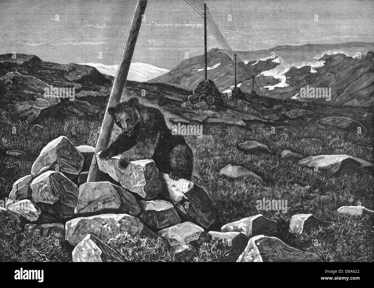 Telegraph wires hi-res stock photography and images - Alamy Telegraph wires hi-res stock photography and images - Alamy