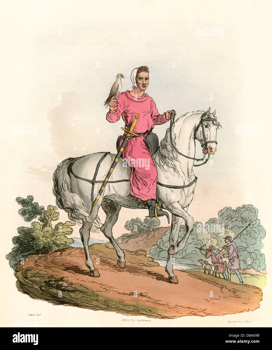 Henry Hawk Horse