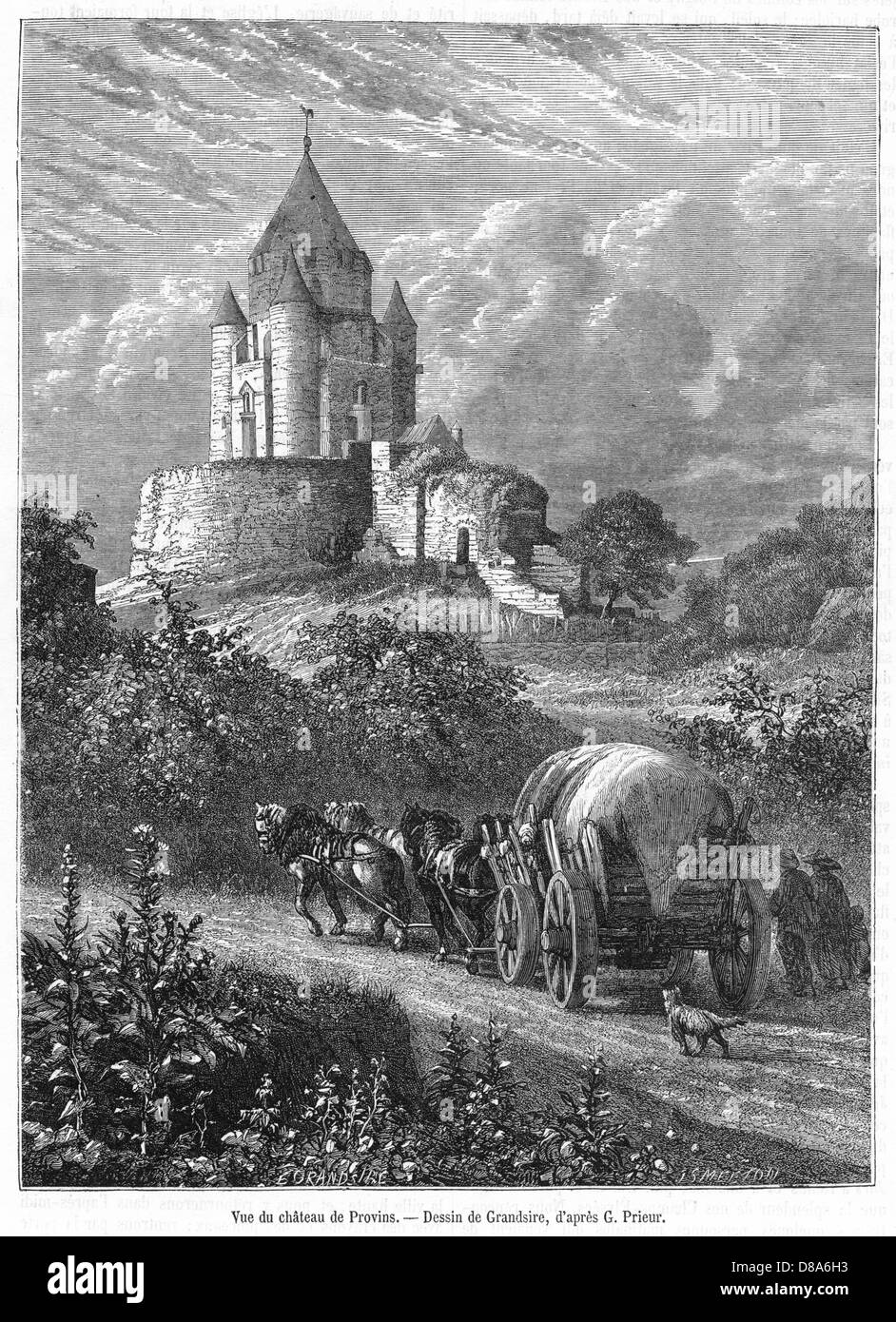 Rose de provins hi-res stock photography and images - Alamy