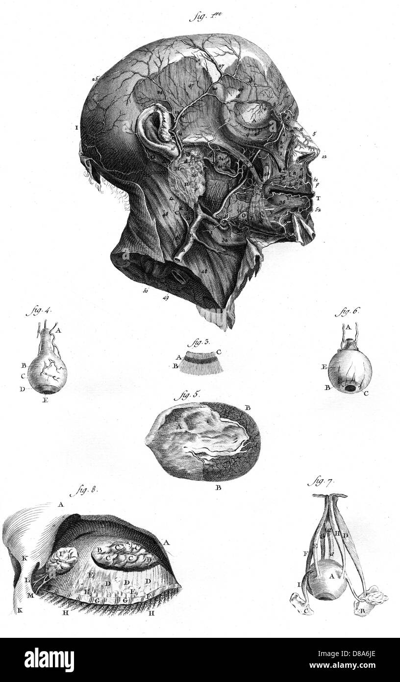 Hand face Black and White Stock Photos & Images - Alamy