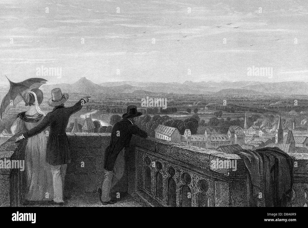 Birds of france Black and White Stock Photos & Images - Alamy