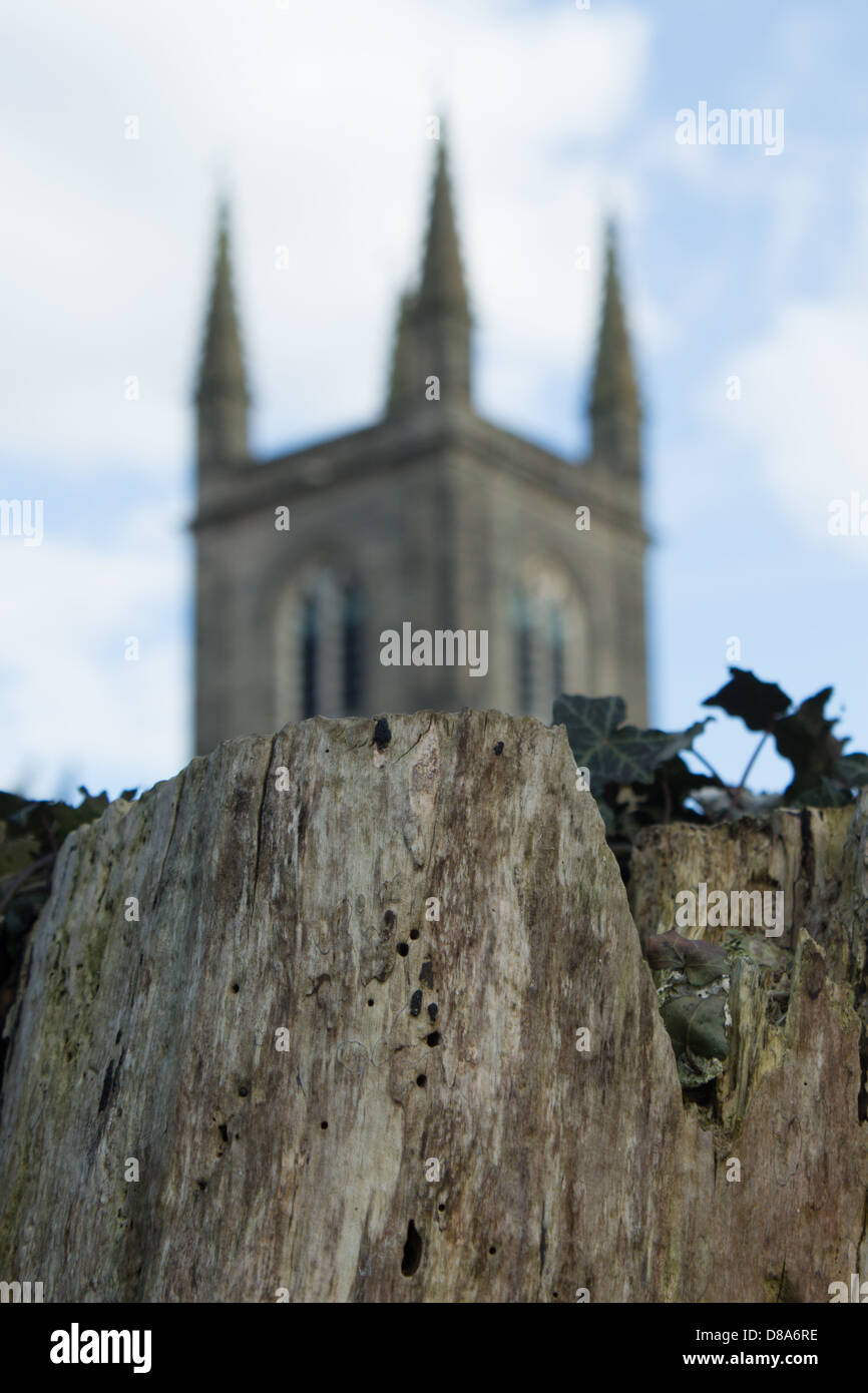 Church hidden by tree stump Stock Photo - Alamy