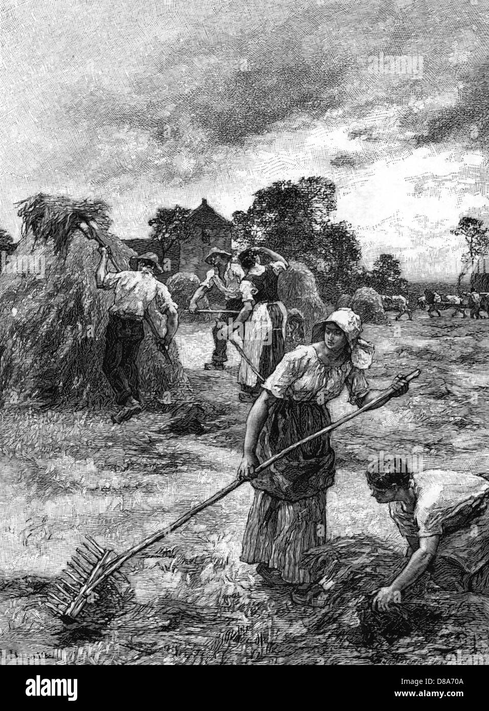 Lhermitte hi-res stock photography and images - Alamy