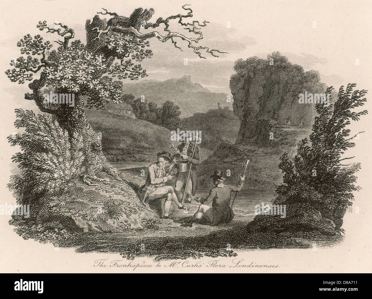 Field botanists hi-res stock photography and images - Alamy