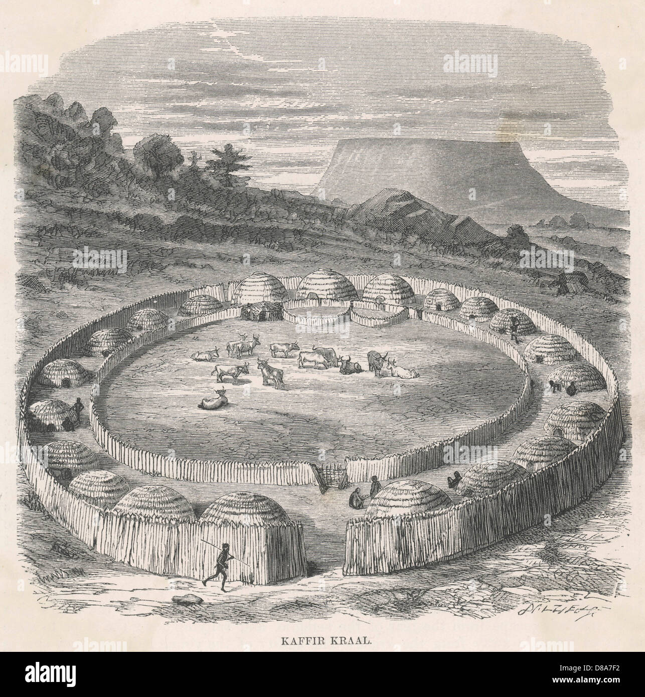 Kraal hi-res stock photography and images - Alamy