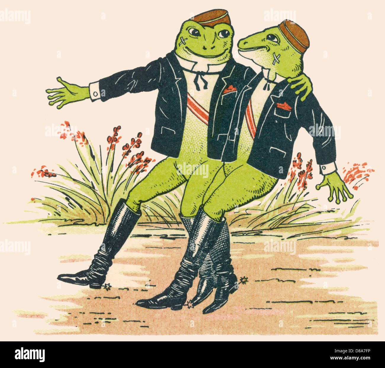 FROGS AS HUMANS (5 OF 5 Stock Photo - Alamy