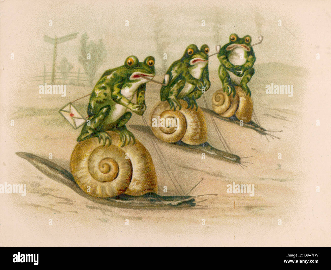 FROGS RACE ON SNAILS Stock Photo - Alamy