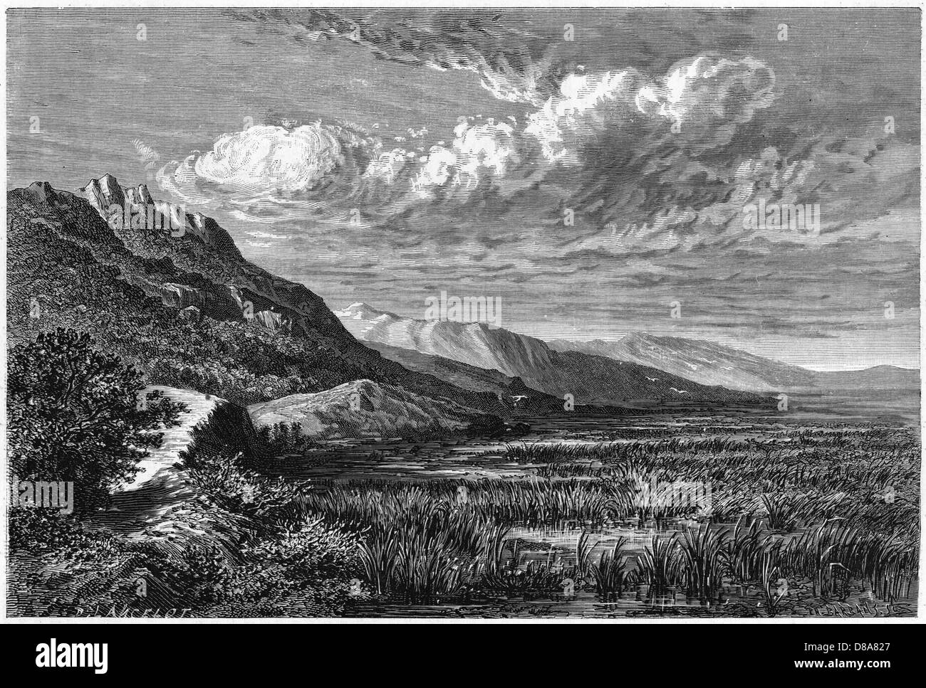 Battle of thermopylae hi-res stock photography and images - Alamy