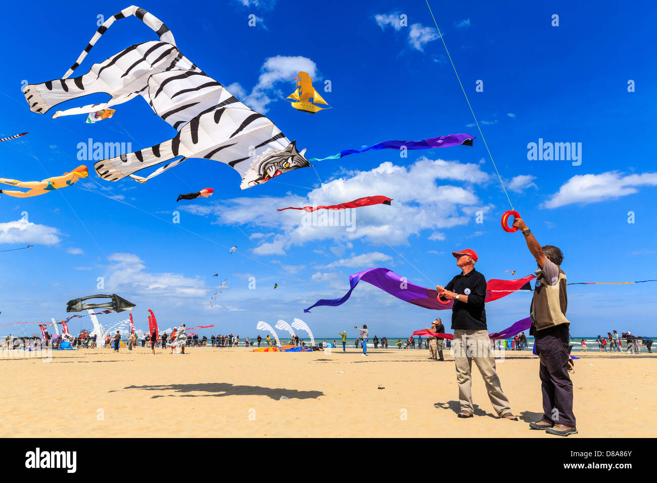 Kites at the International Kite Festival in Cervia, Emilia Romagna ...