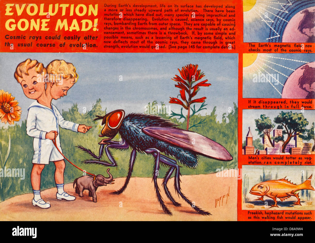 Cosmic evolution hi-res stock photography and images - Alamy