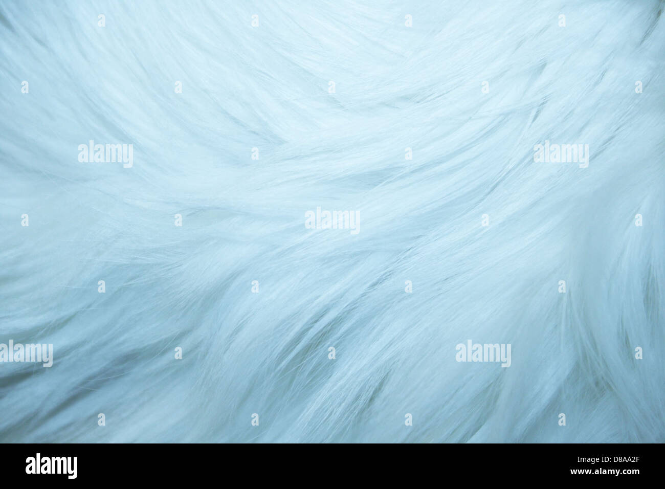 A close-up of soft baby blue fur, displaying its smooth texture and ...