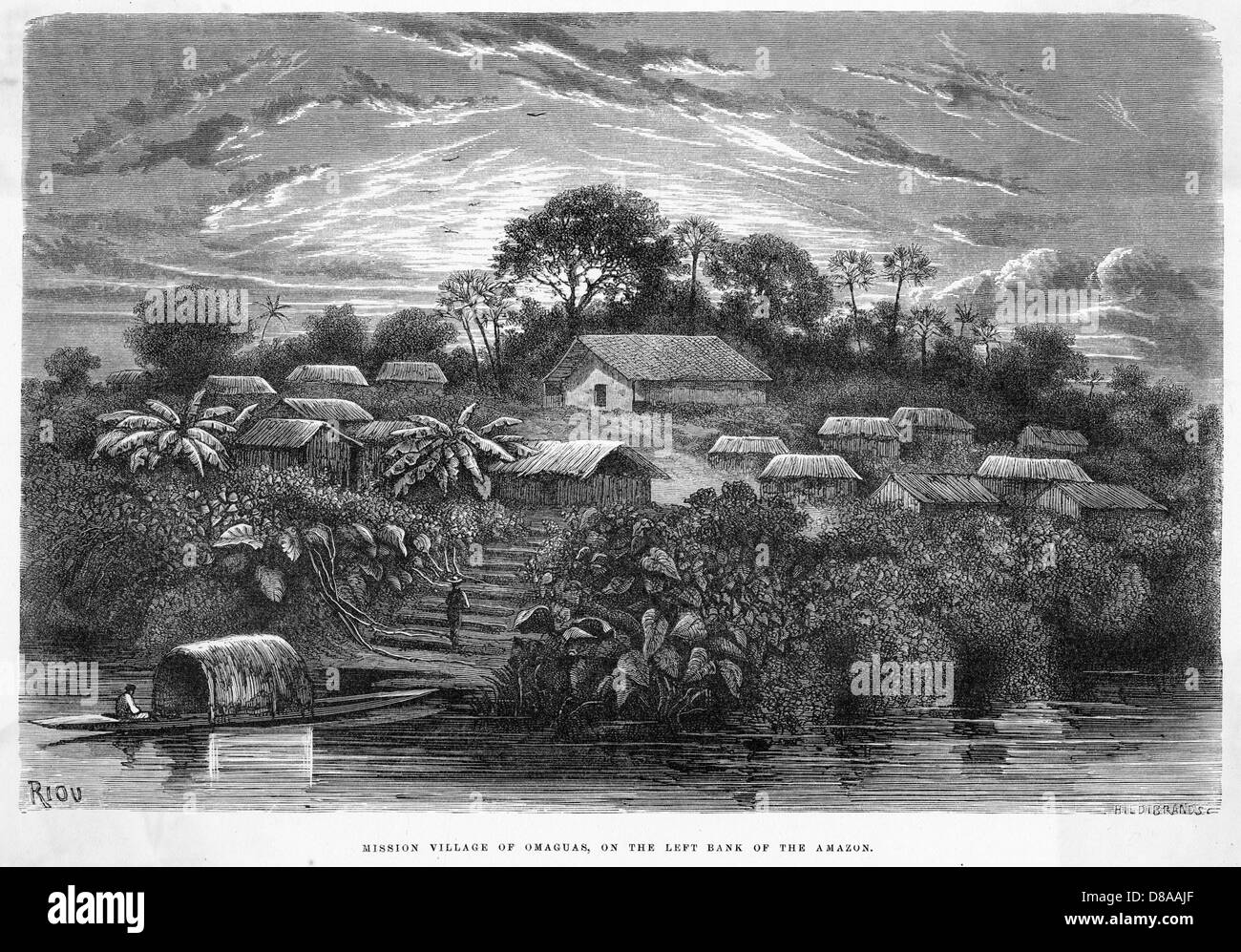 Omaguas hi-res stock photography and images - Alamy