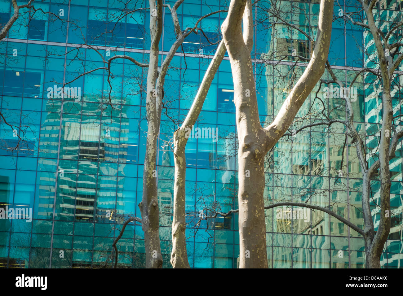 Trees and modern skyscrapers in New York City Stock Photo - Alamy