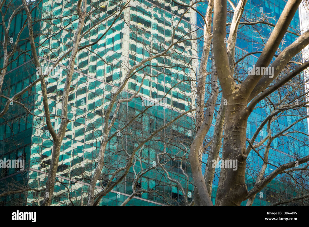 Trees and modern skyscrapers in New York City Stock Photo - Alamy