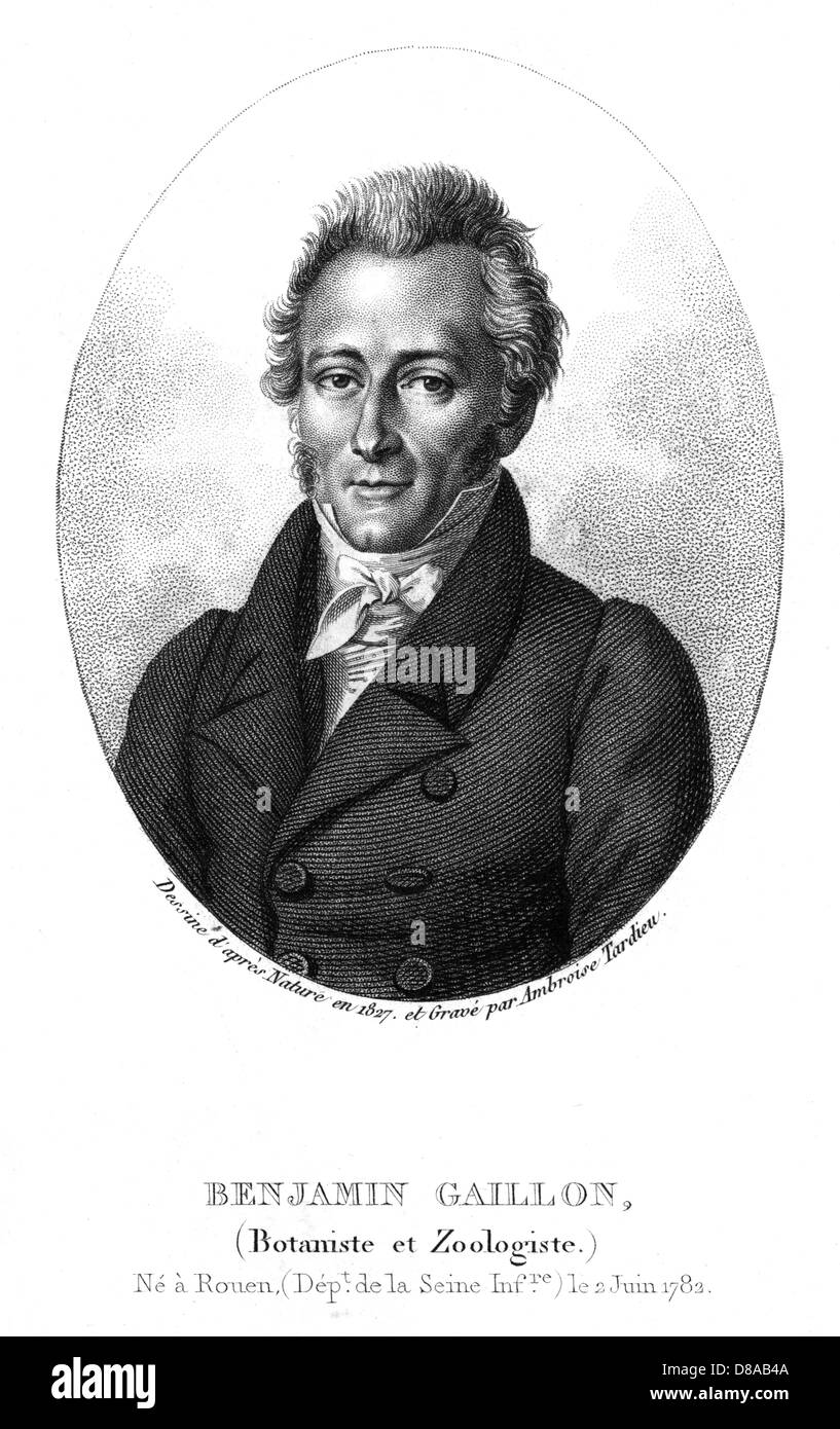 Benjamin Cut Out Stock Images & Pictures - Alamy