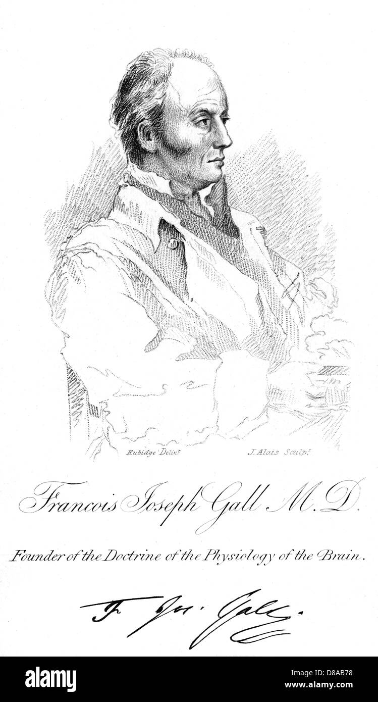 FRANZ JOSEF GALL Stock Photo - Alamy