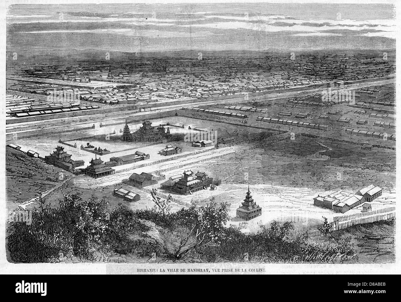 Birds of myanmar Black and White Stock Photos & Images - Alamy