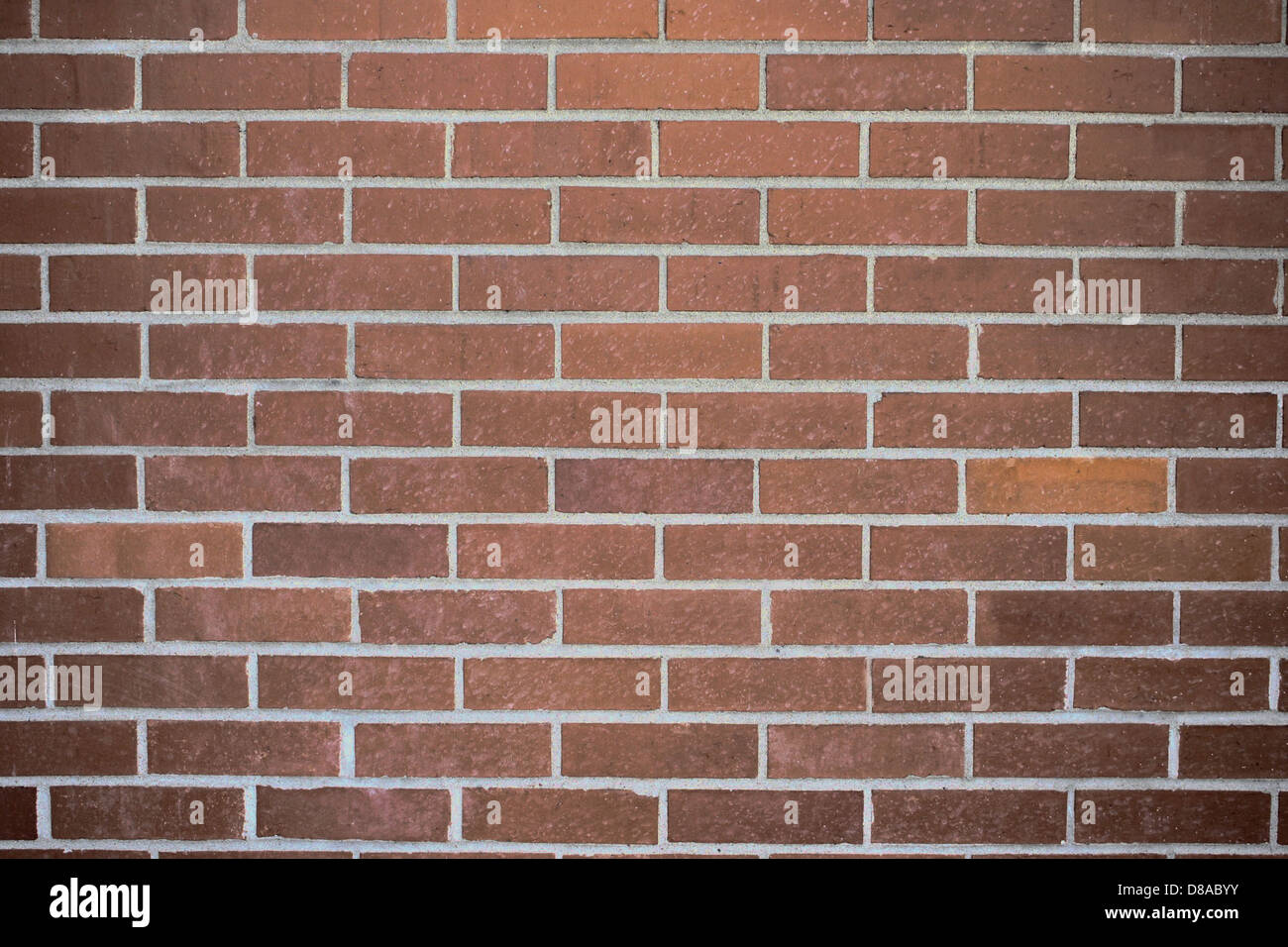 Detailed image highlighting rough hi-res stock photography and images ...