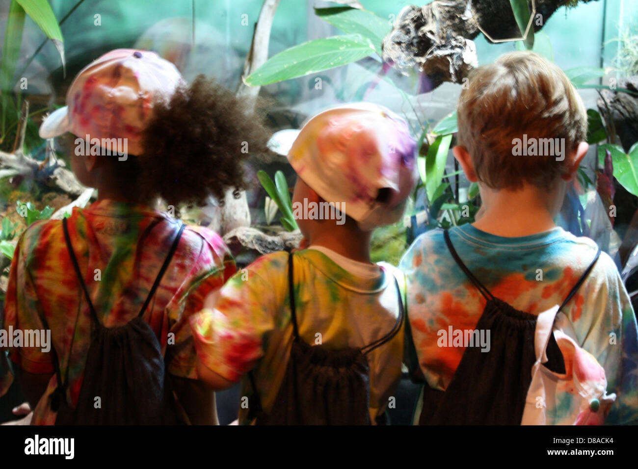 Children viewing animals at a zoo exhibit, observing wildlife in an ...