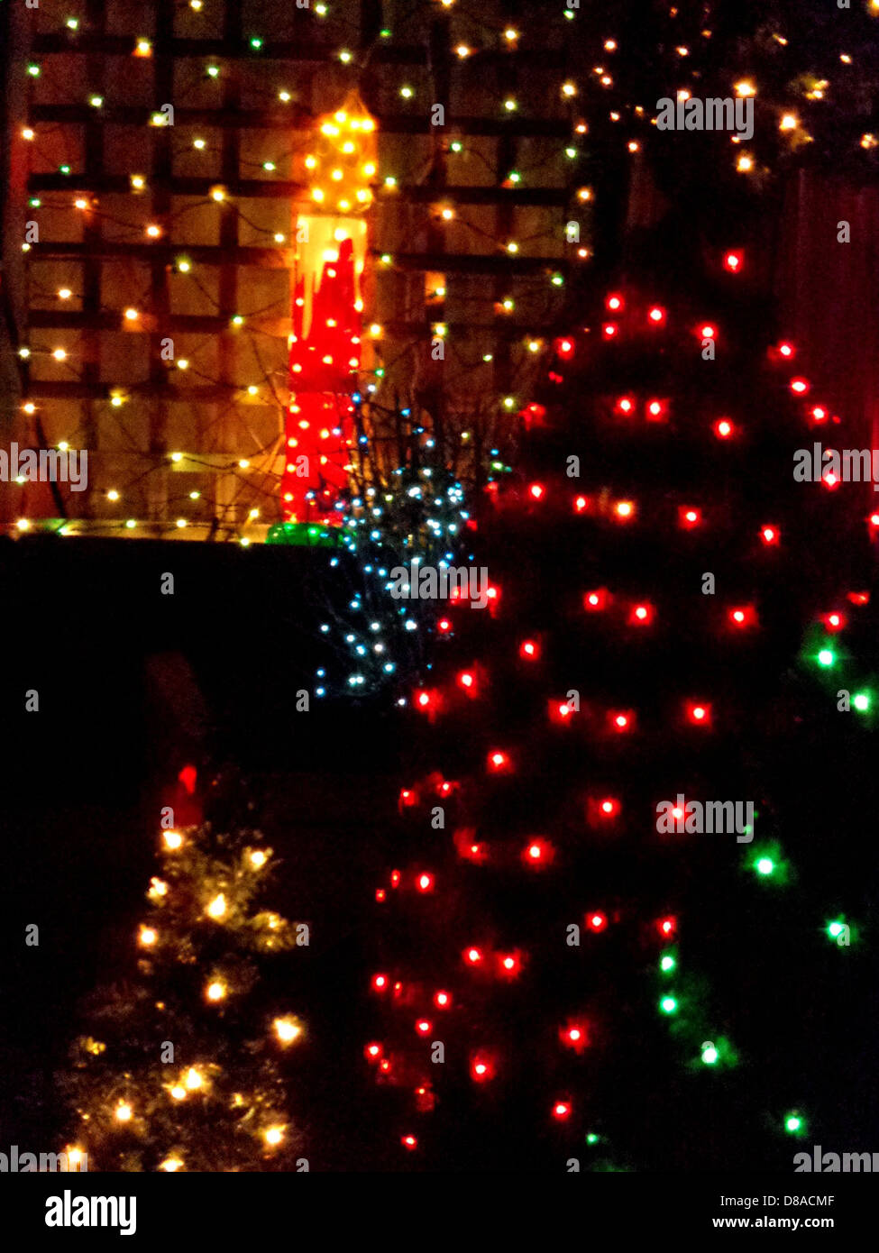 Christmas lights twinkle around a candle and a row of trees. The ...