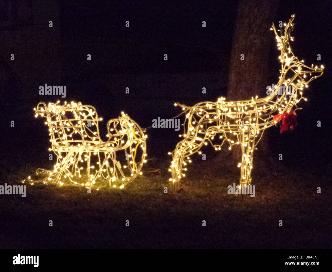 A festive scene with lighted decorations of a reindeer pulling a sleigh ...