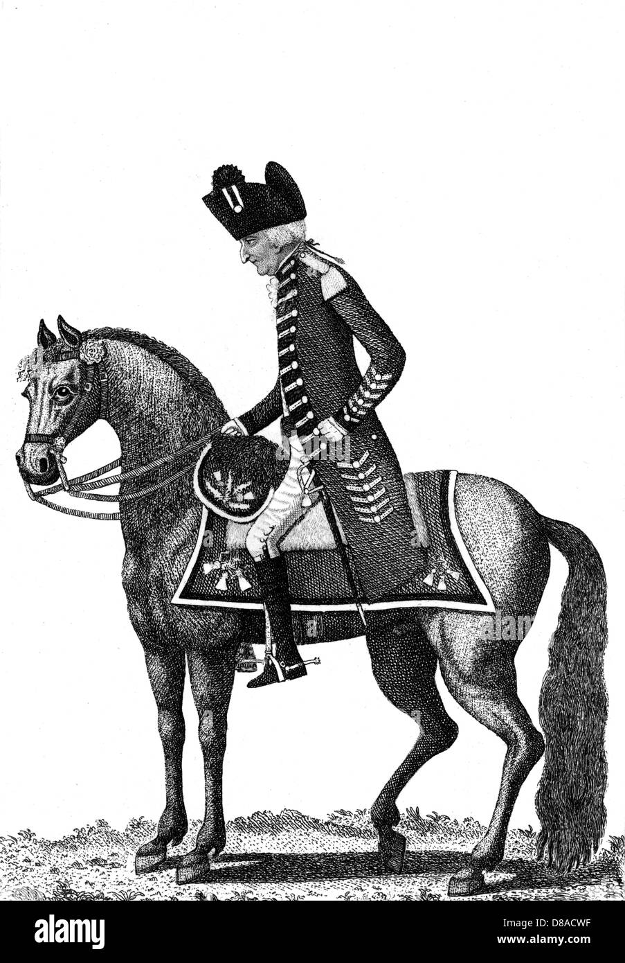 Adam Gordon High Resolution Stock Photography and Images - Alamy