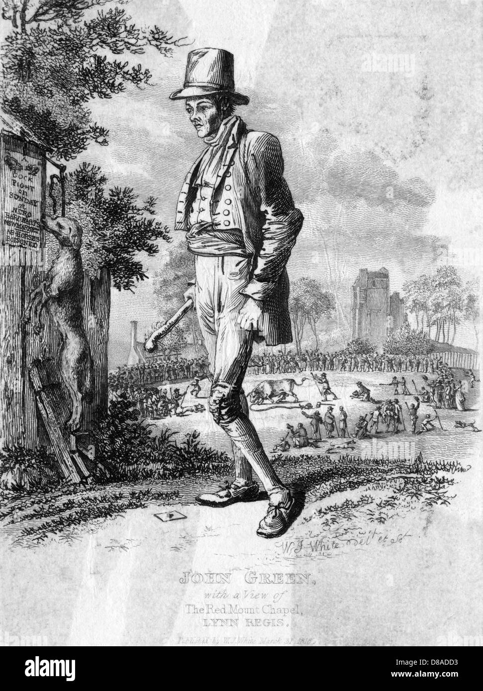 John green hi-res stock photography and images - Alamy