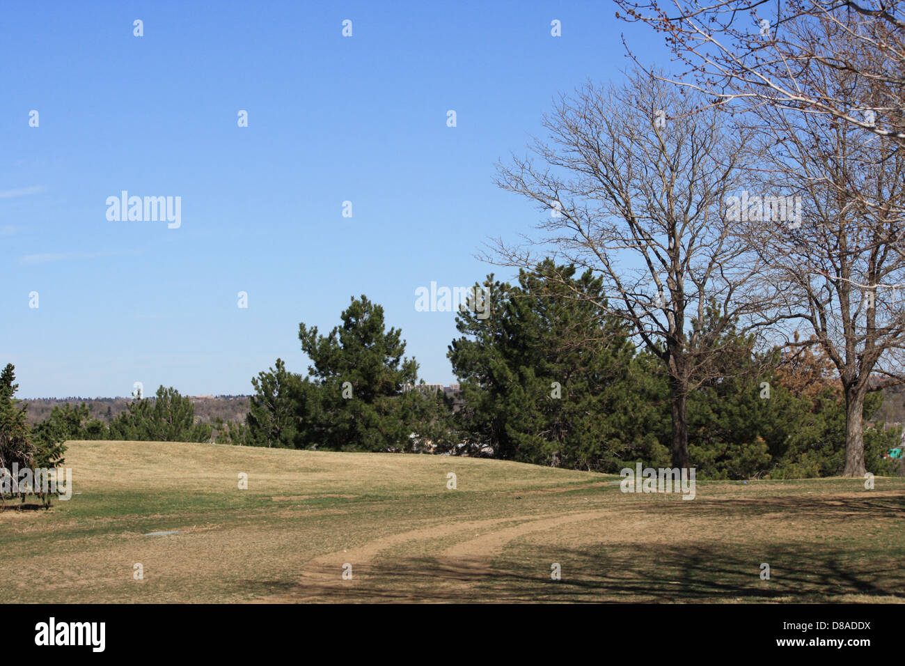 A dirt road or trail meandering through a park, surrounded by natural ...