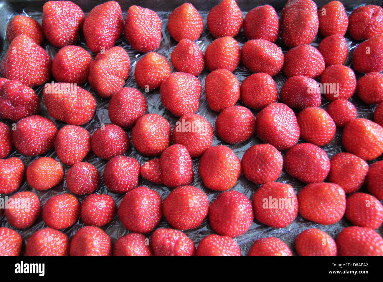 Bc berrys hi-res stock photography and images - Alamy