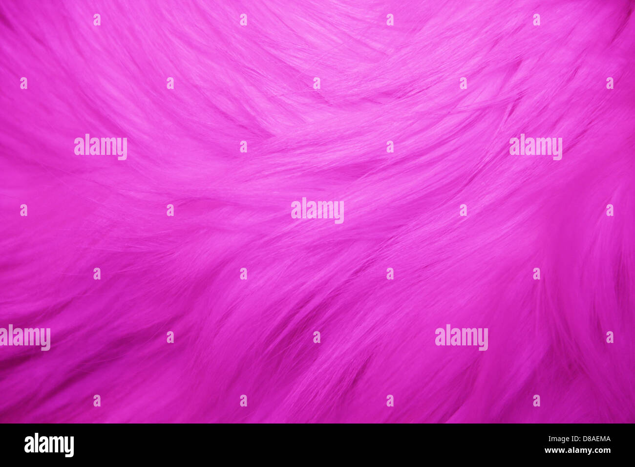 This image shows a close-up view of hot pink fur with a soft, plush ...