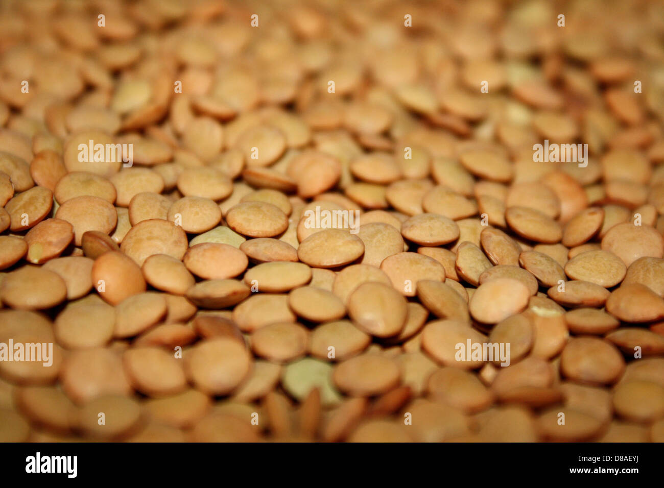 A close-up image of lentils, a popular legume known for its high ...