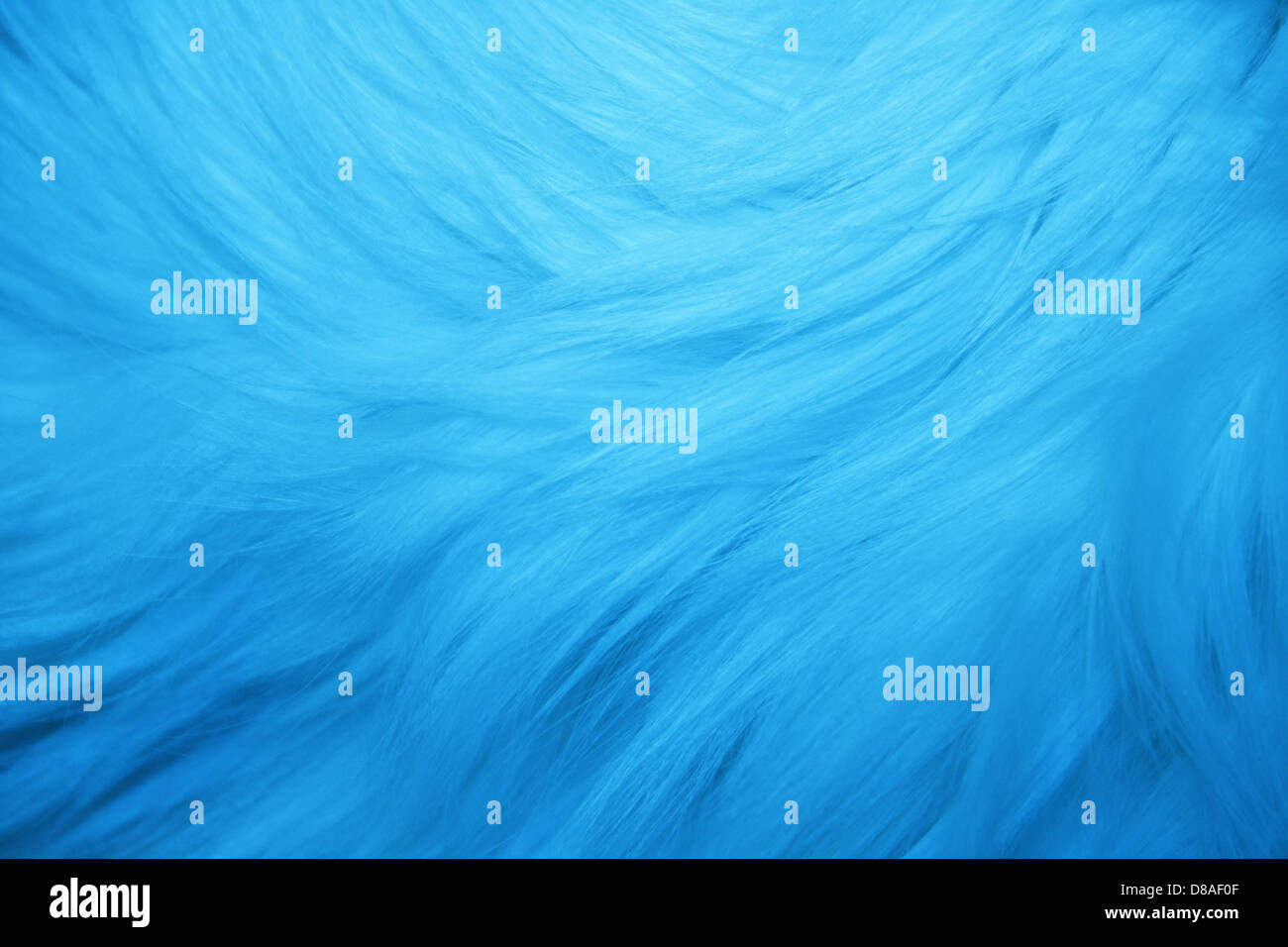 The soft, light blue fur texture is characterized by its smooth, silky ...
