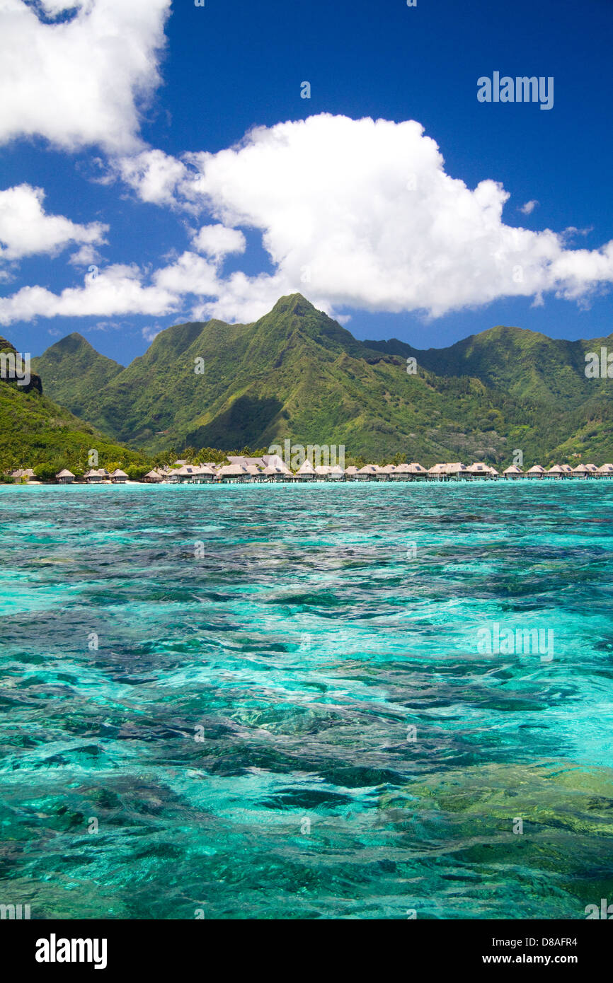 The azure blue lagoon on Moorea Stock Photo - Alamy