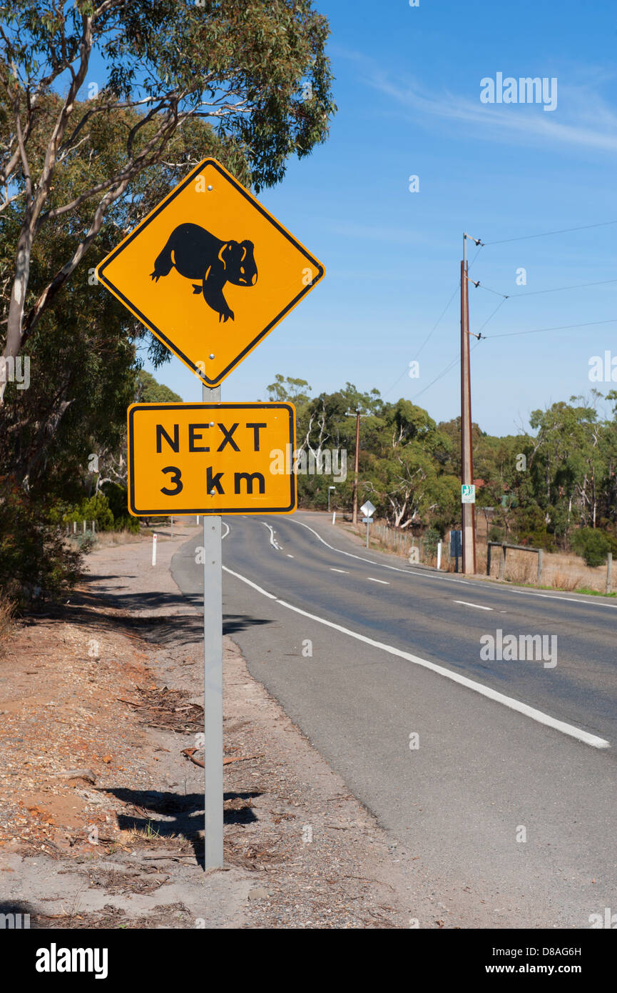 Koalas warning sign hi-res stock photography and images - Alamy
