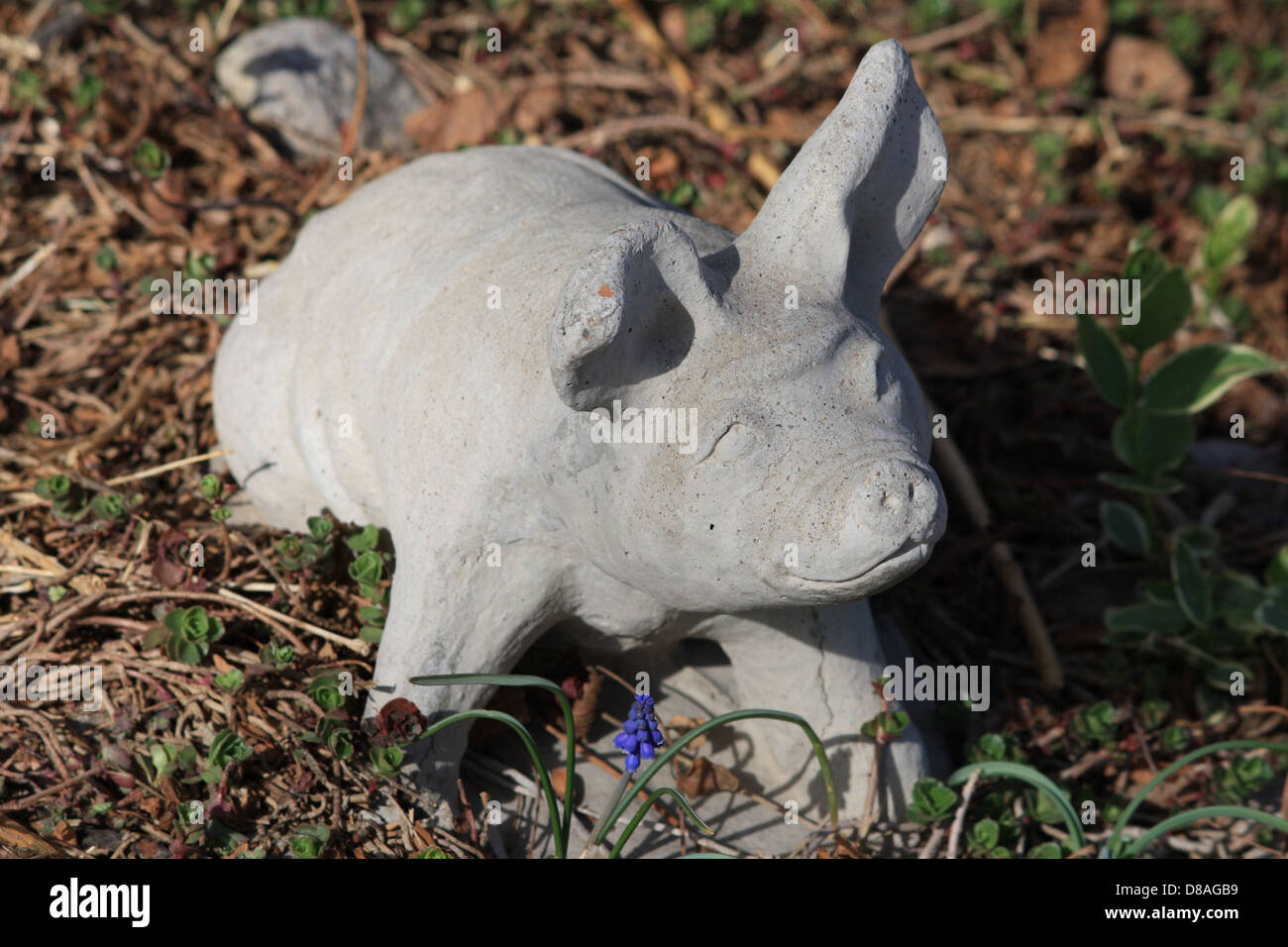 A cement-made pig figurine placed in a garden adds a charming ...