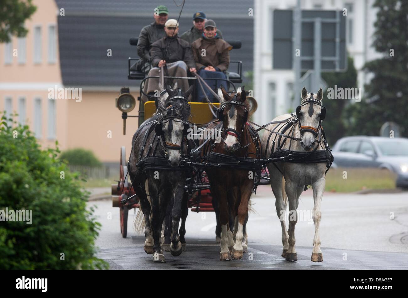 A seven horse-drawn stagecoach goes along a road between Parchim and ...