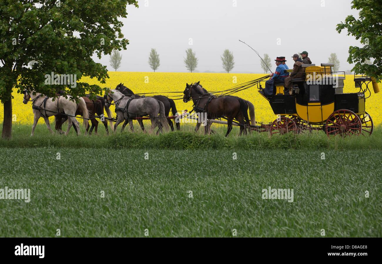 A seven horse-drawn stagecoach goes along a road between Parchim and ...