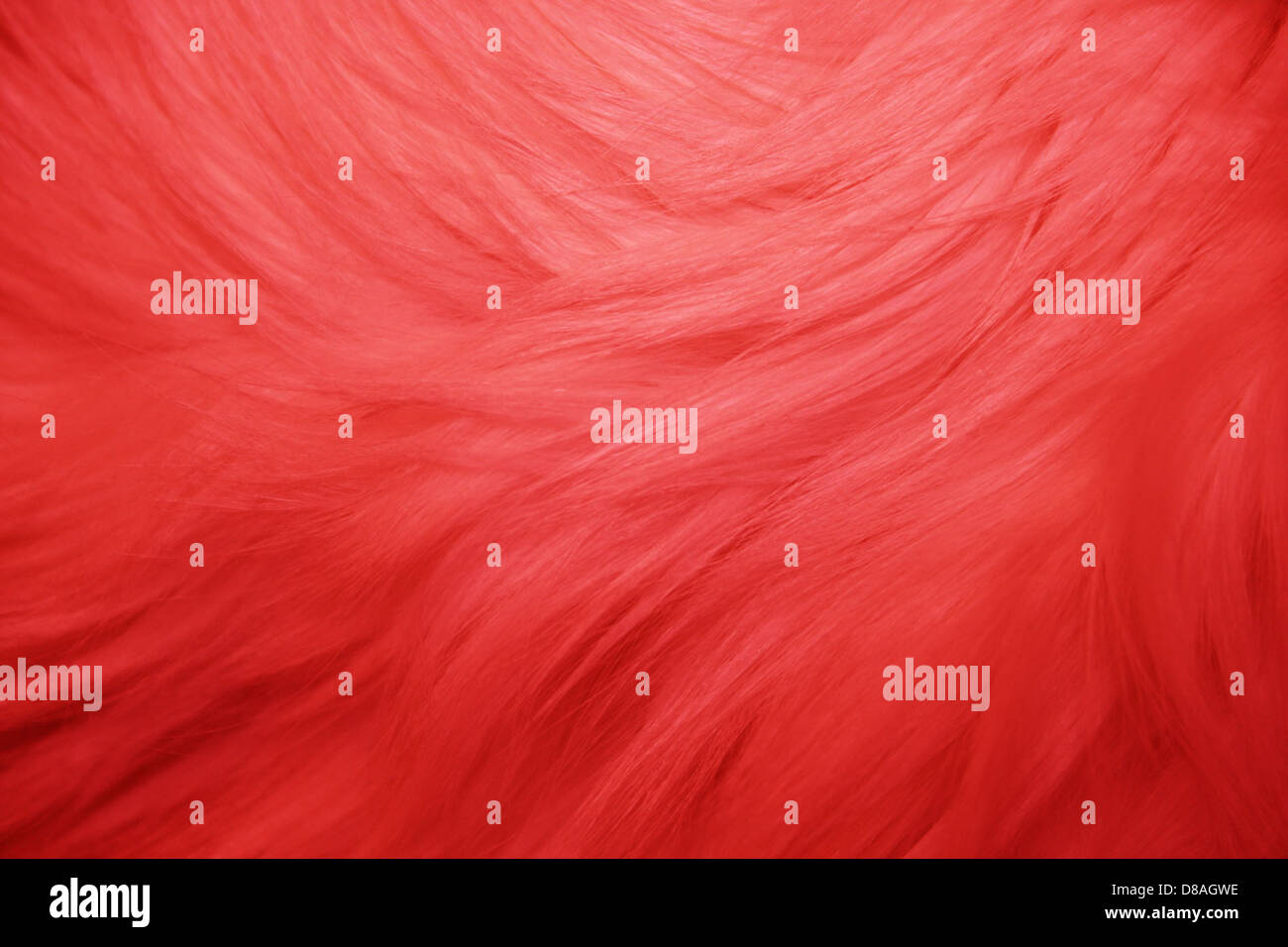 A close-up of red fur, showcasing its rich color and soft texture ...