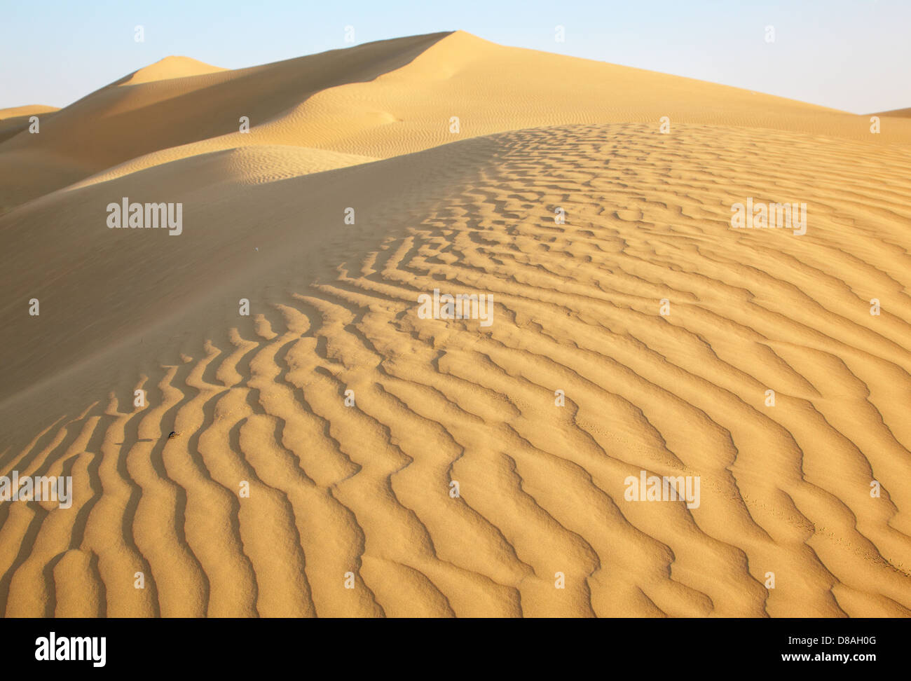 Sand dunes of desert Thar in Rajasthan, India Stock Photo - Alamy