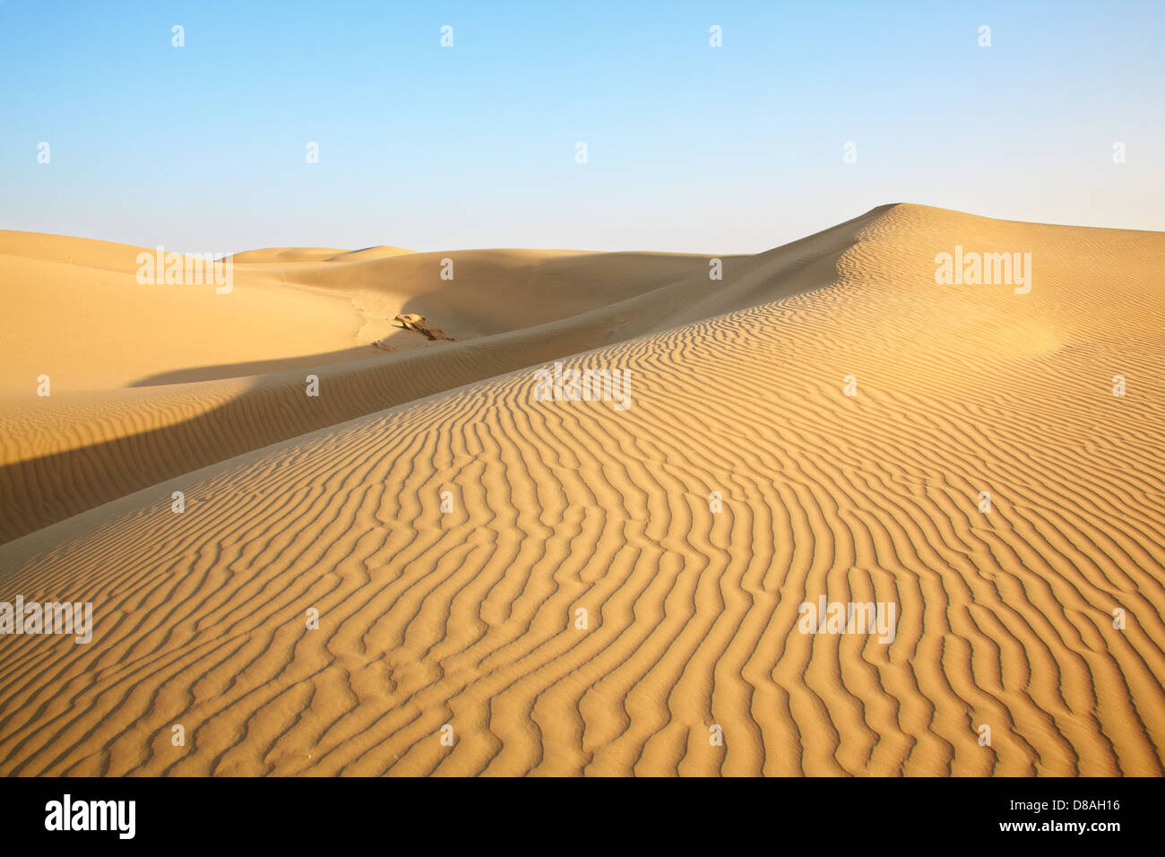 Sand dunes of desert Thar in Rajasthan, India Stock Photo - Alamy