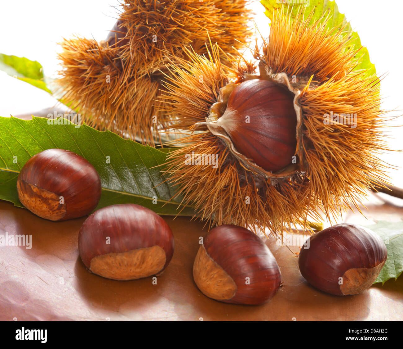 Chestnuts on table of copper Stock Photo - Alamy