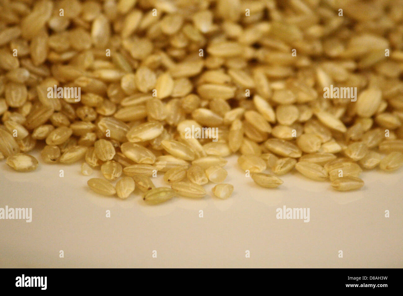 A close-up shot of short grain brown rice, highlighting its texture and ...