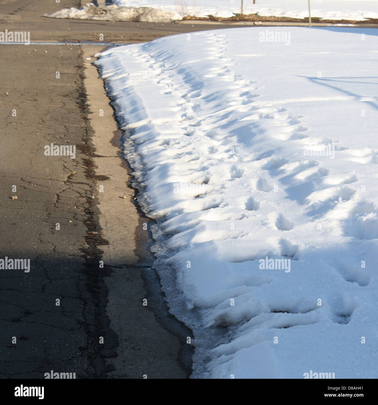 A sidewalk covered in snow, not shoveled, making it difficult to walk ...