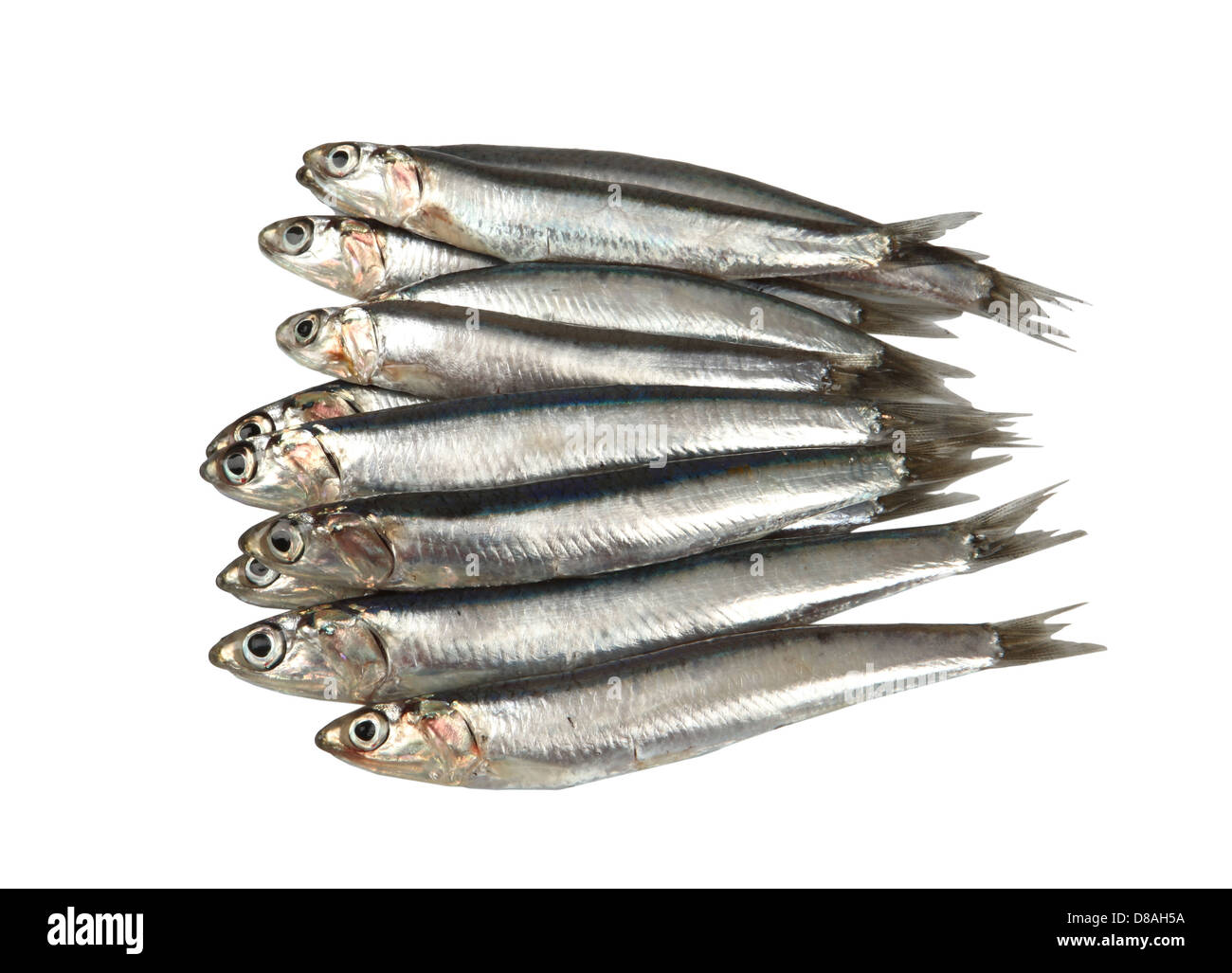 Fresh raw sardines on white background Stock Photo - Alamy