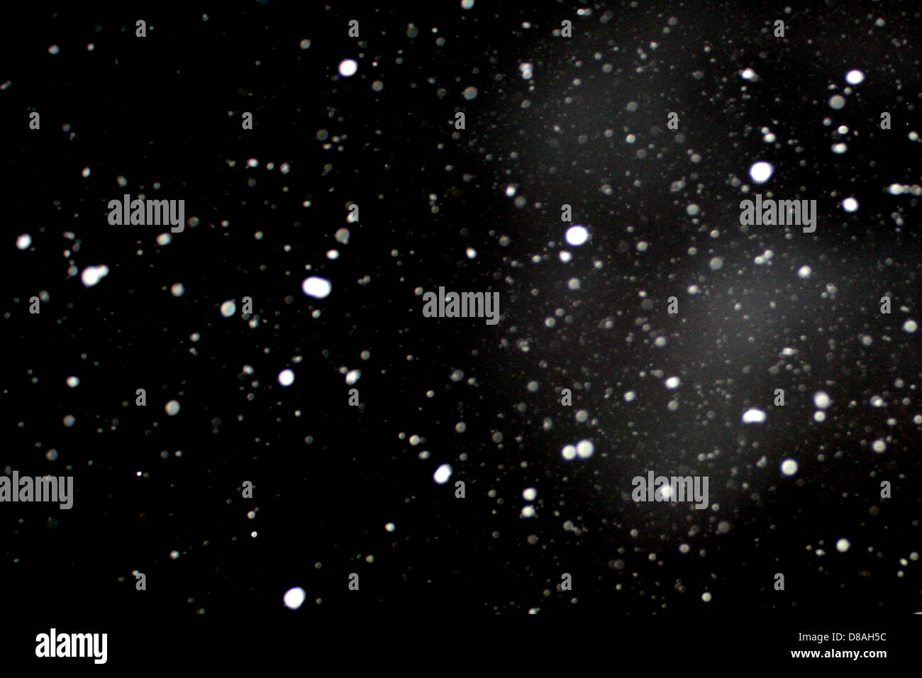 Gently falling snow at night hi-res stock photography and images - Alamy
