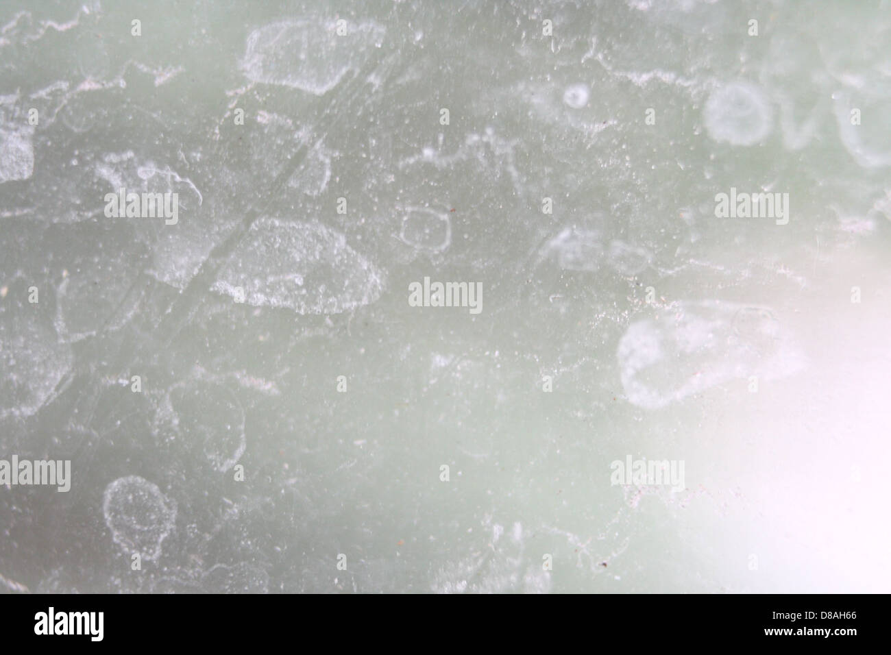 Spots and water droplets visible on a window glass surface, reflecting ...